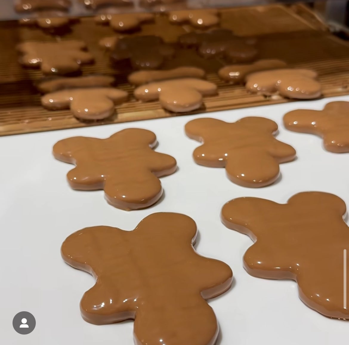 Chocolate Coated Gingerbread | Miss Noble Melbourne: Specialty Cakes ...