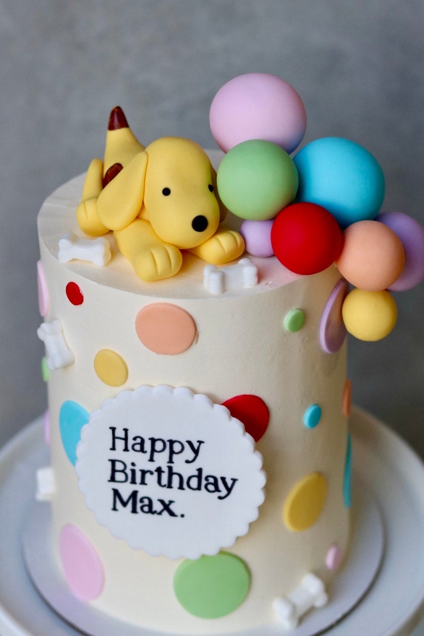 spot the dog pictures