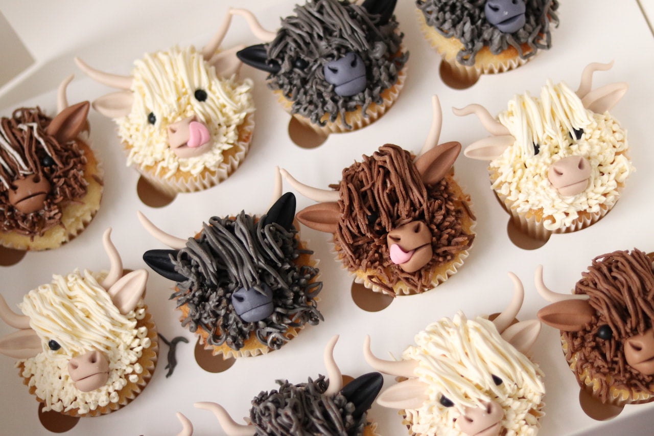 custom-highland-cow-cute-cupcakes-melbourne-yarraville-cake-shop-inner ...